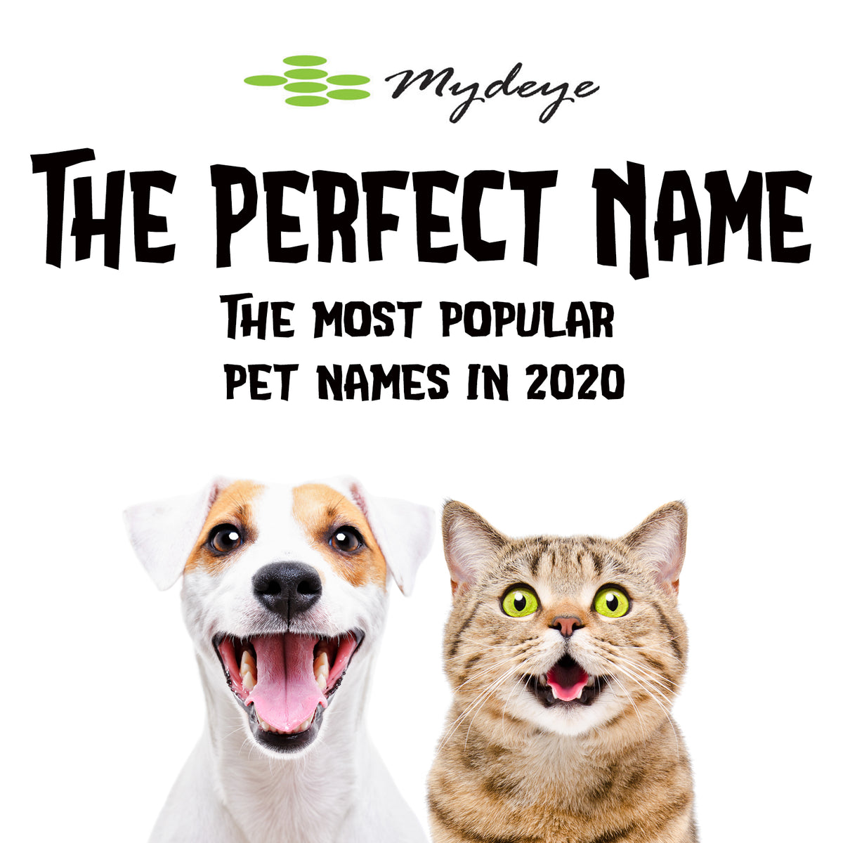 The Perfect Name – Mydeye