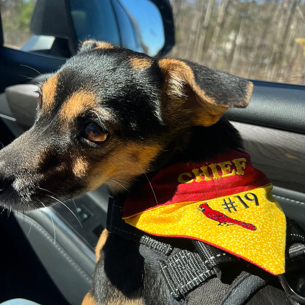 Custom Order Bandana – Mydeye